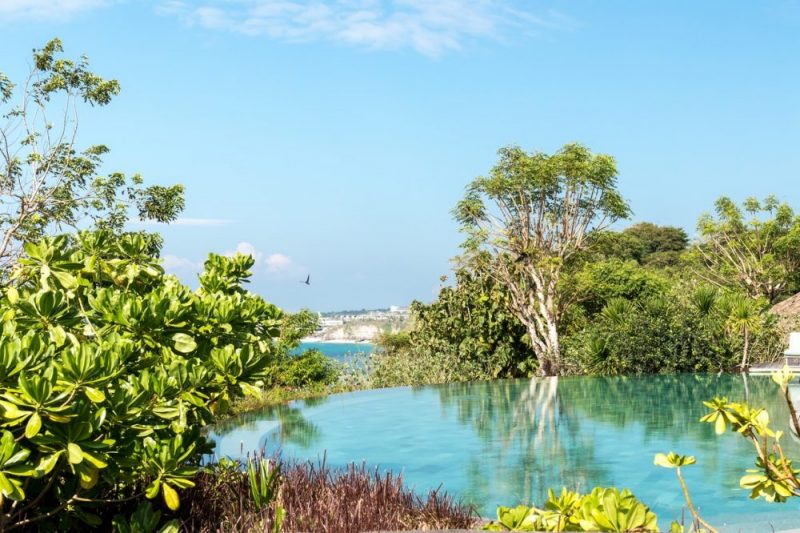 Above Ground Pool Landscape IDEAS and Pictures | Landscape Ideas