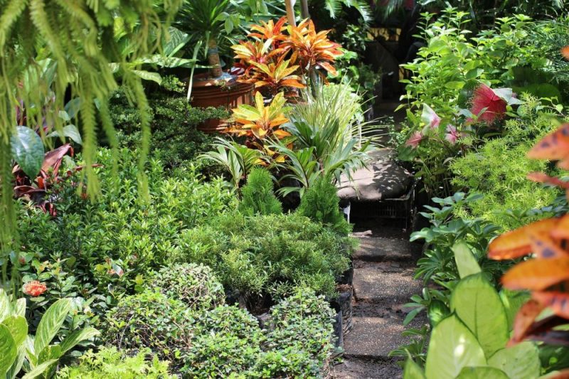 Garden Landscape Design Philippines | Landscape Ideas
