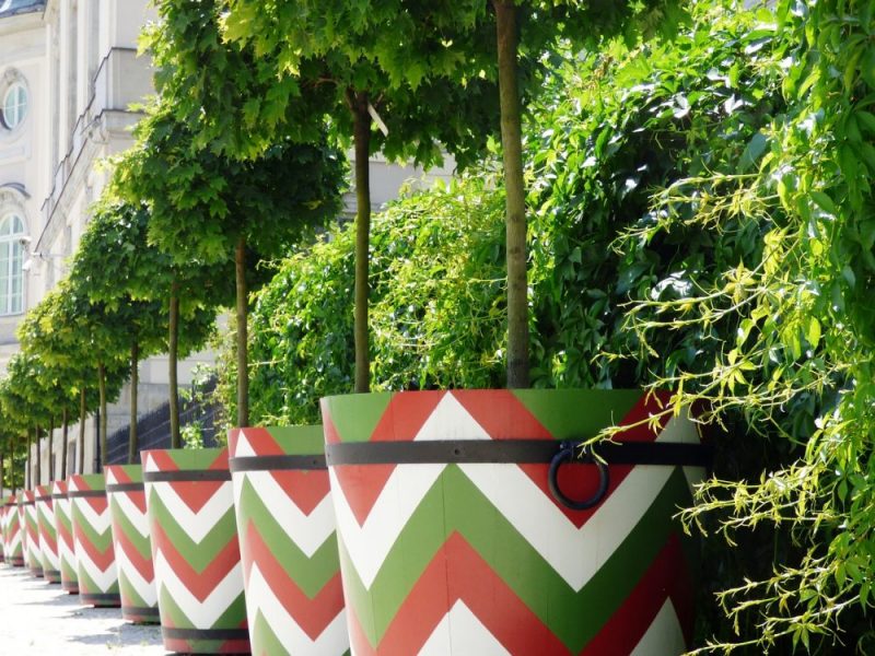 Landscaping Pots Ideas | Landscape Ideas