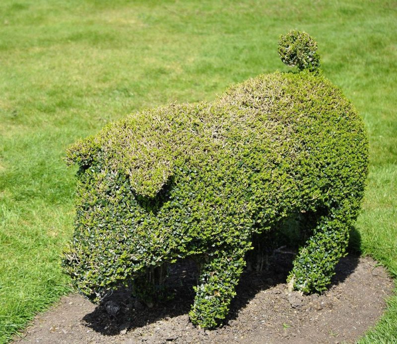 Rural Landscape Design IDEAS | Landscape Ideas