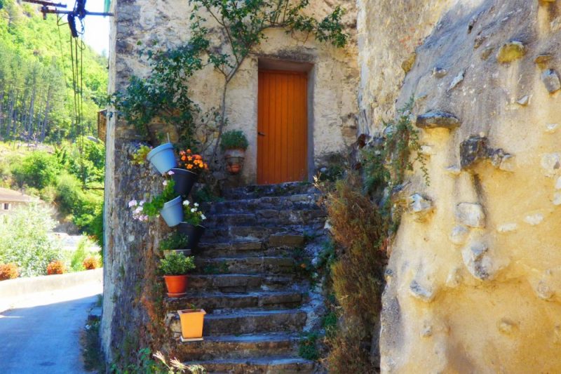 Gasper Landscape Design & Construction | Landscape Ideas