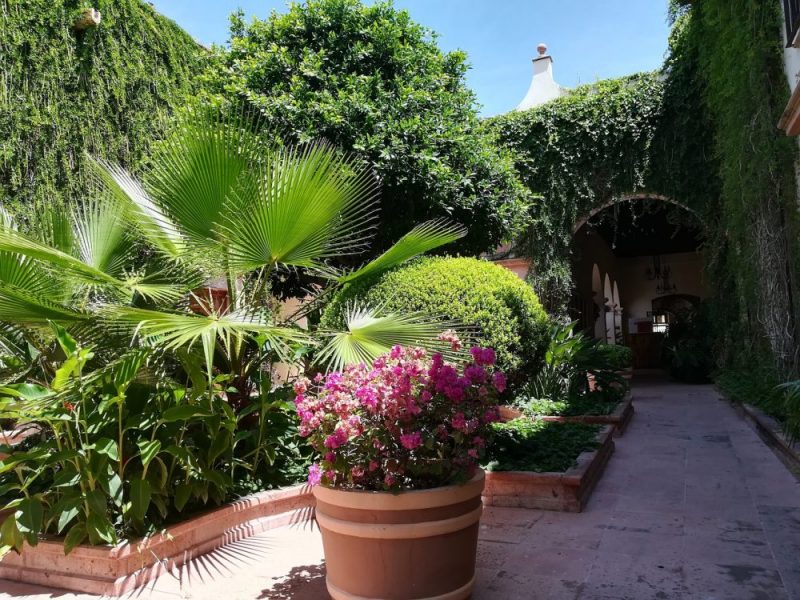 Landscape Island Design | Landscape Ideas